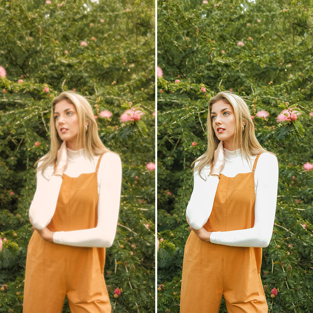 Walkingway Retro Soft Filter Vintage Filter Dreamy Fog Effect Softening ...